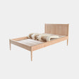 Bed SOMNUS